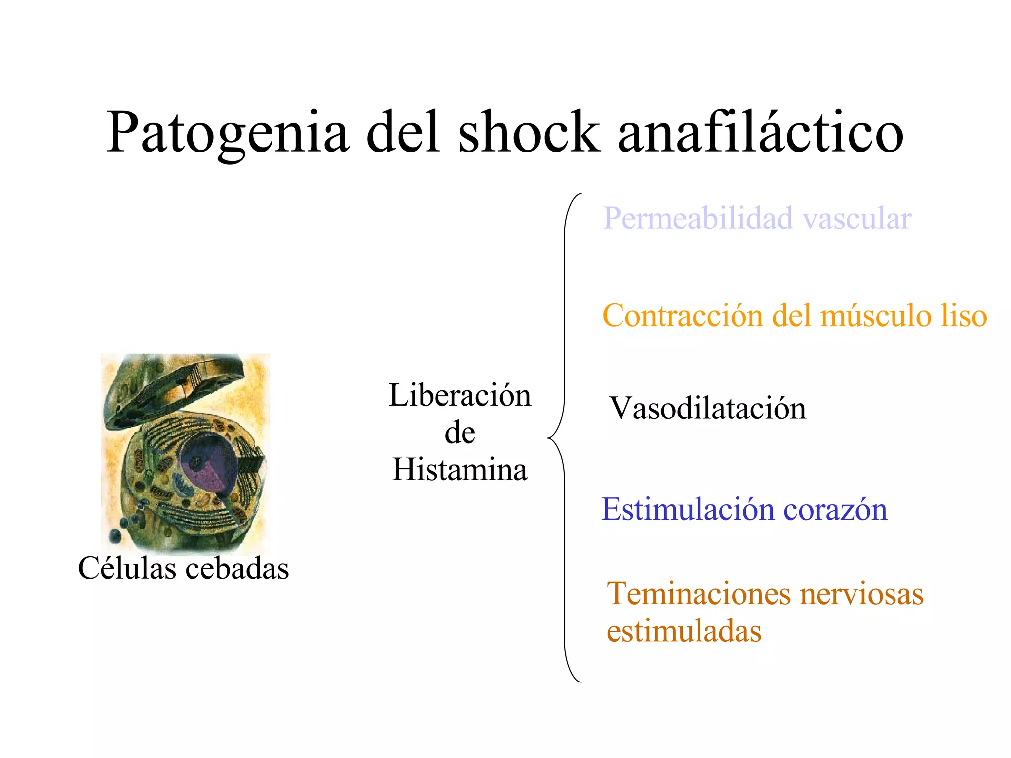 fisiopatologia del shock | PPT | Descarga Gratuita