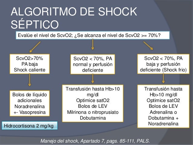 Shock pediatria