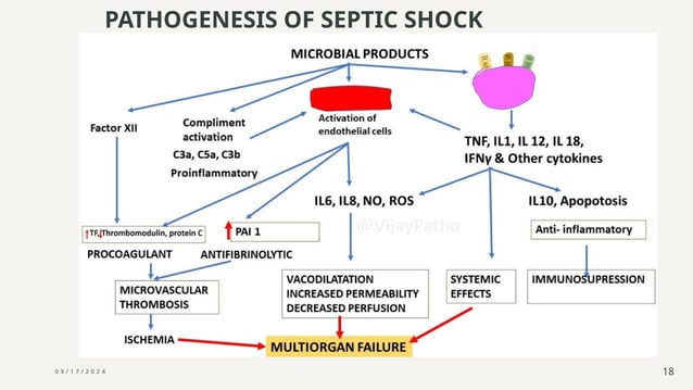 Pathogenesis of shock in field of dentistry | PPTX
