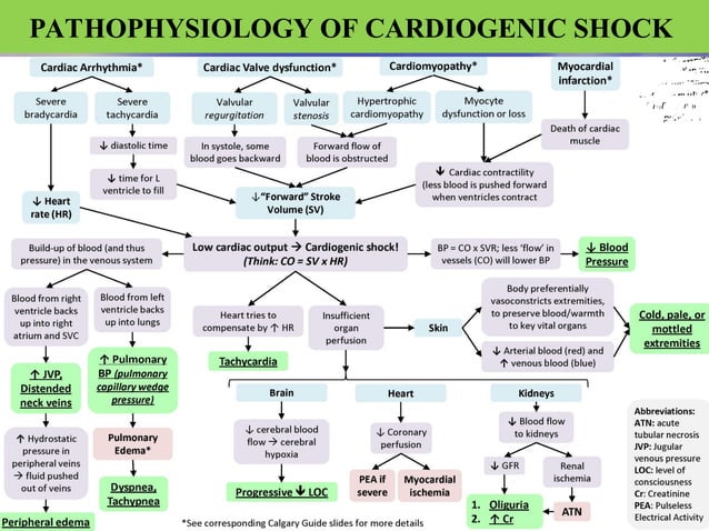INTRODUCTION and management TO CARDIOGENIC SHOCK | PPT