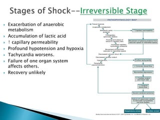 Shock and mods | PPTX