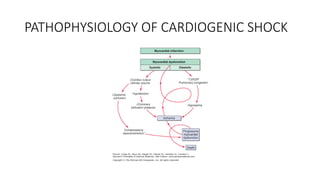 SHOCK AND TYPES OF SHOCK - BY DR VAISAKH | PPTX