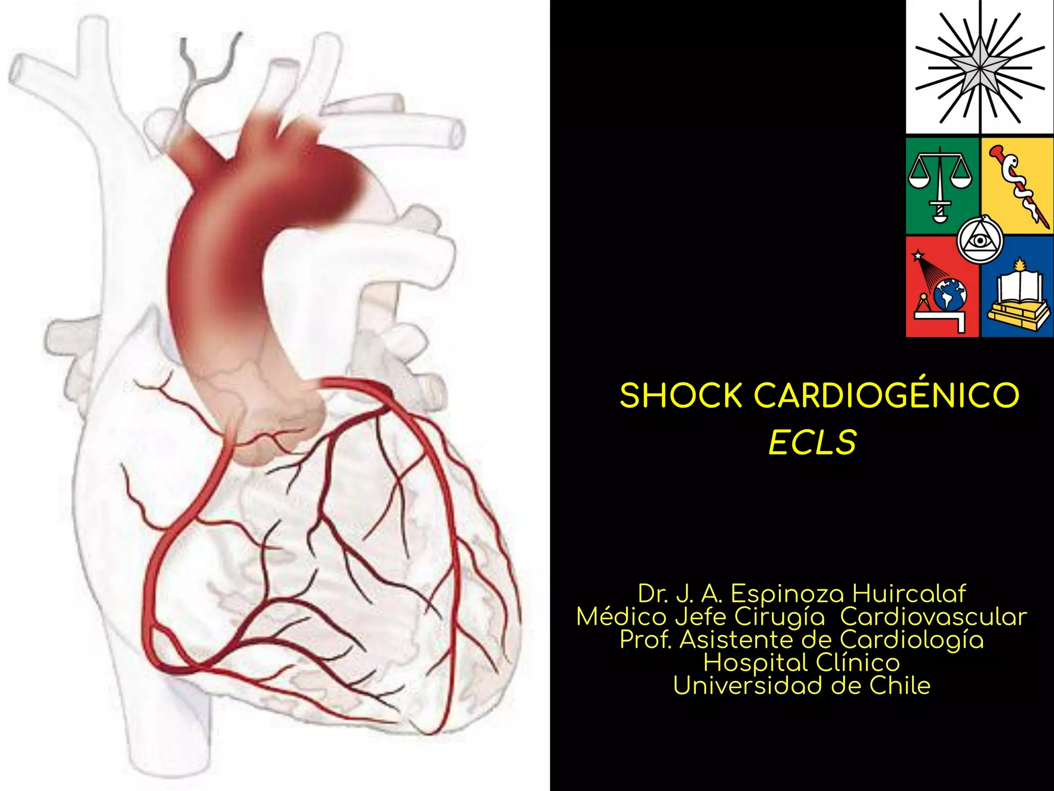 SHOCK CARDIOGENICO.pdf