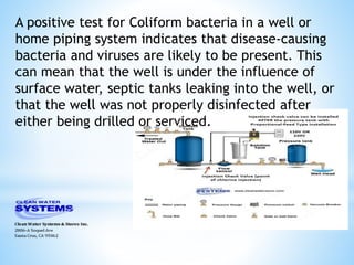 Shock chlorination | PPT