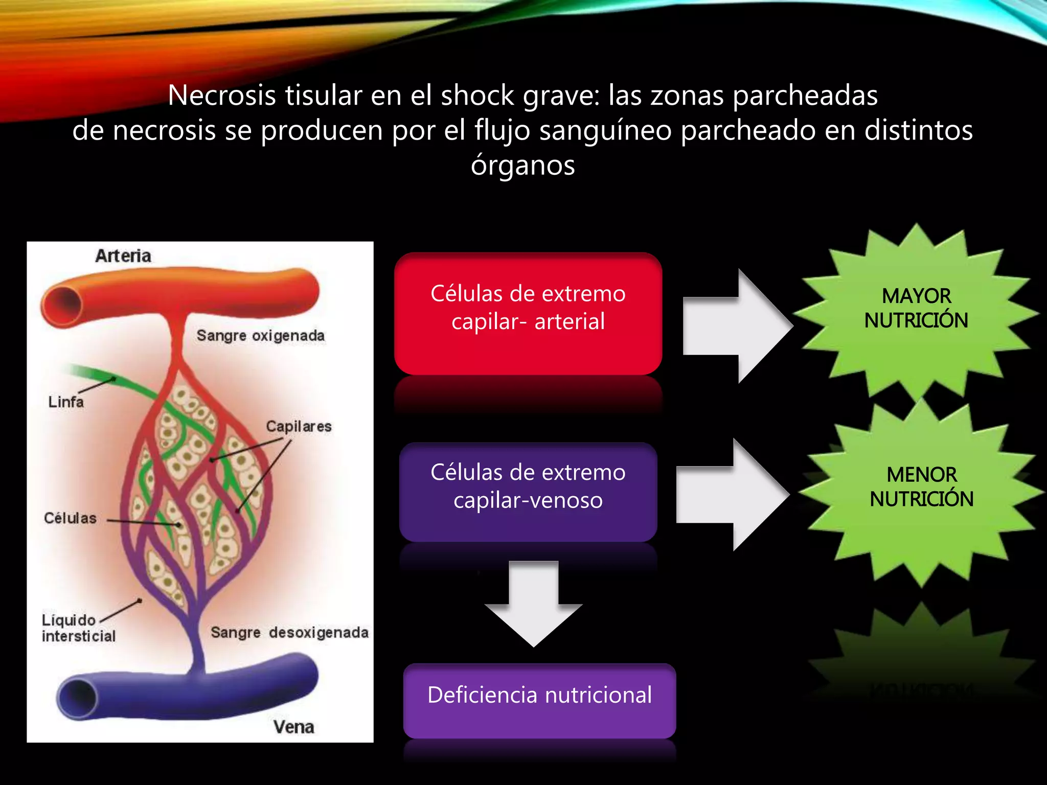 Shock circulatorio y su tratamiento | PPT