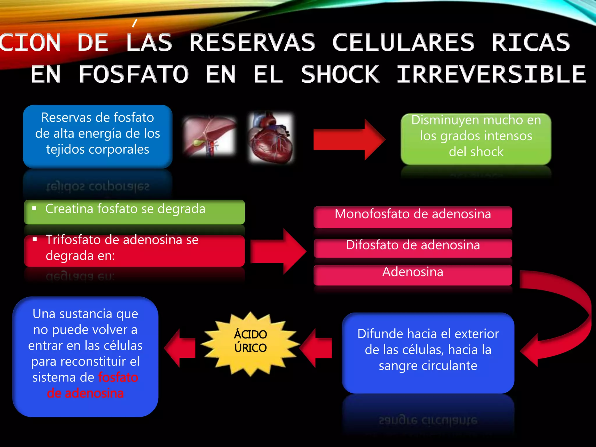 Shock circulatorio y su tratamiento | PPT