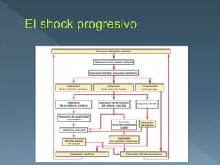 Shock circulatorio | PPT