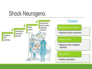 Shock circulatorio | PPT