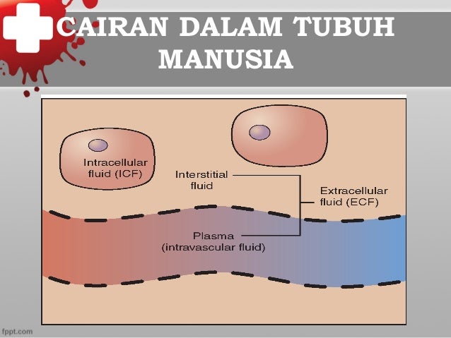 Shock dan Resusitasi Cairan
