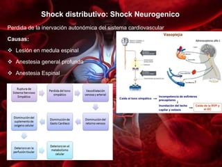SHOCK | PPTX