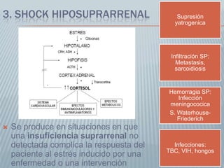 Shock distributivo | PPTX