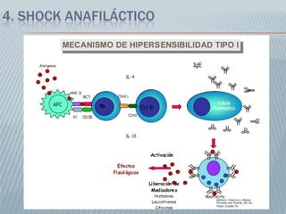 Shock distributivo | PPTX