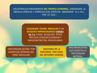 Shock distributivo | PPTX