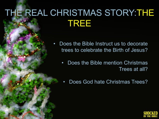 Shocked by the Bible | PDF | Christianity | Religion & Spirituality