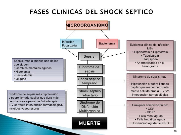 Shock En Pediatria
