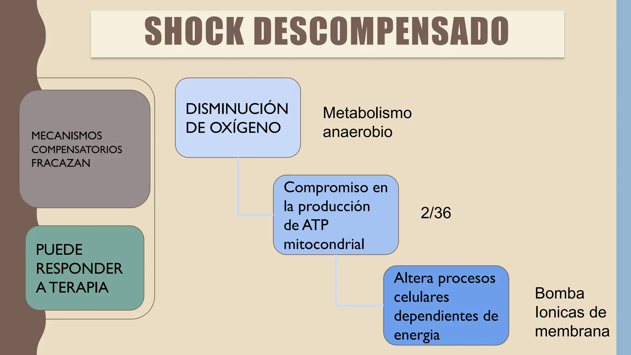 SHOCK_EN_PEDIATRIA: MANEJO DEL SHOCK EN PACIENTE PEDIATRICOS ...