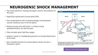 Circulatory Shock Managements | PPTX