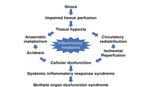 shock - definition, diagnosis, pathophysiology, classification ...