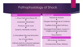 shock and hemorrhage bt presentation ppt.pptx