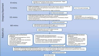 Shock identification and management | PPT