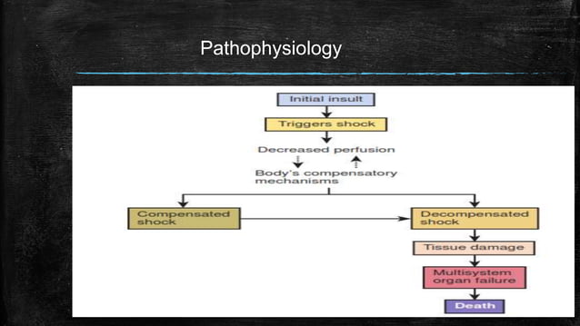 Shock identification and management | PPT