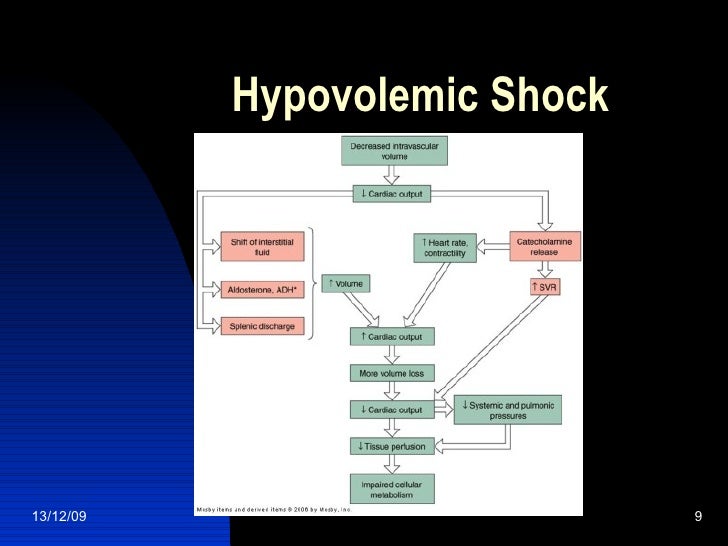 Shock in Adults and Children