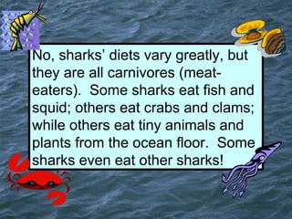 Shocking Sharks: How Much Do You Know? | PPT