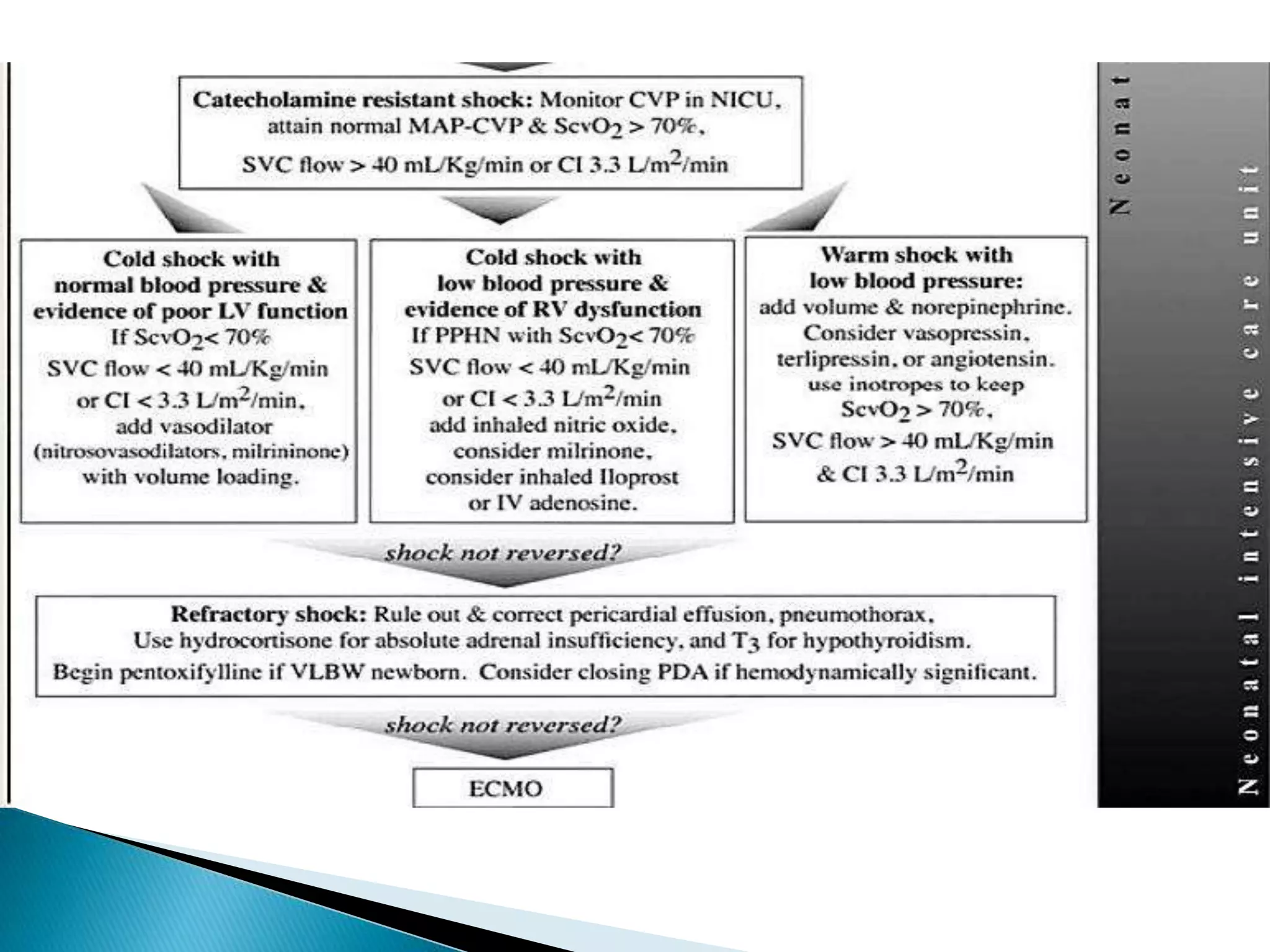 Shock in neonates | PPTX