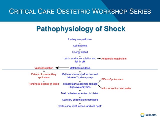 Shock in the obstetric patient, bill schnettler md | PPTX