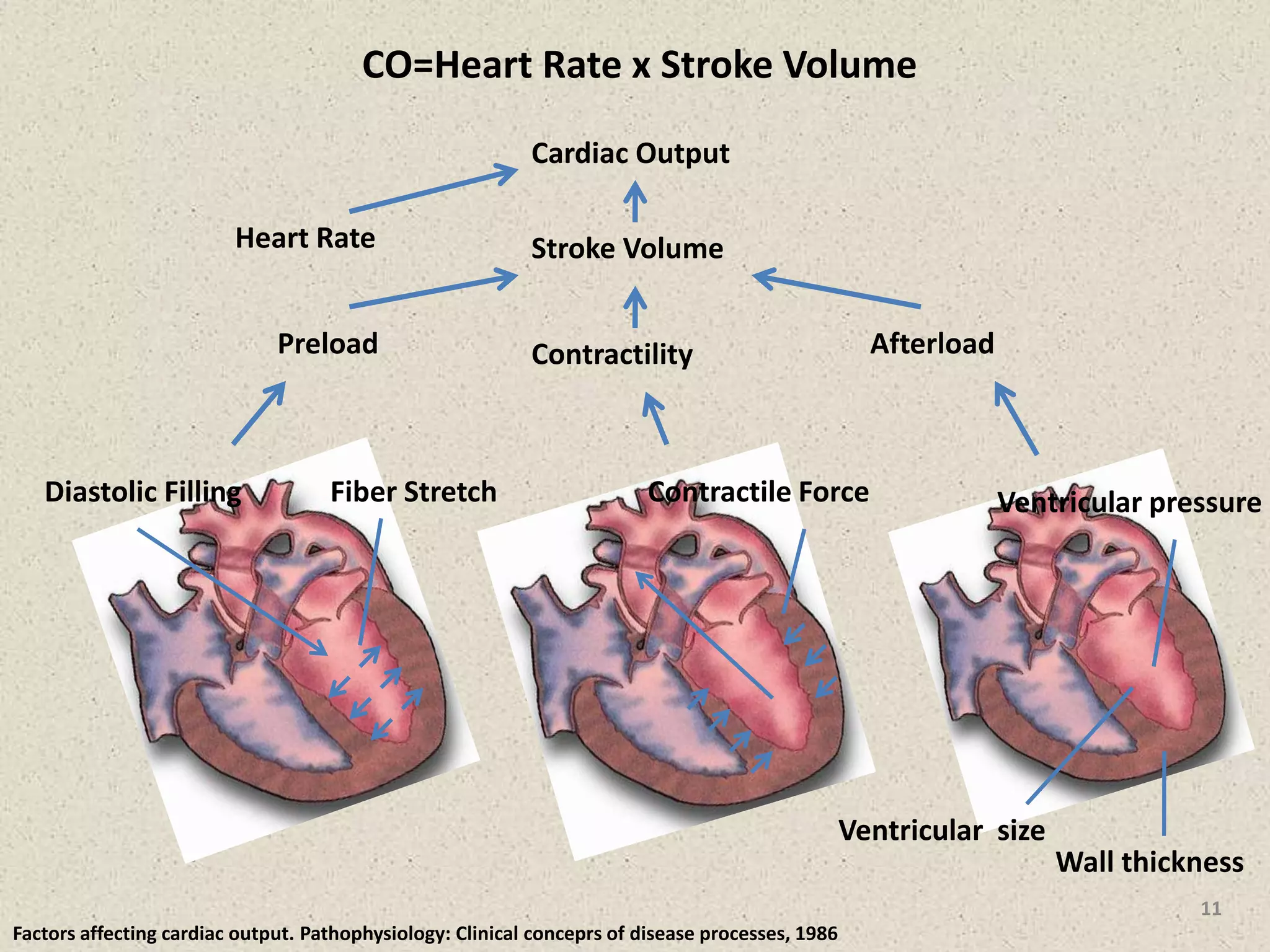 Shock Kuliah Residen.pptx