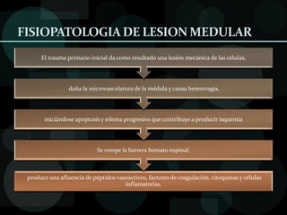 shock medular NEUROGENICO JOSE CRISTIAN VAIRO.pptx