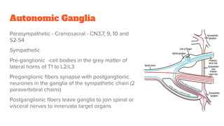 Shock_ Pathophysiology & Current Management (1).pdf