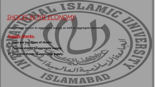 SHOCKS IN THE ECONOMY.pptx