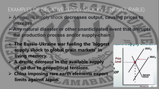 SHOCKS IN THE ECONOMY.pptx