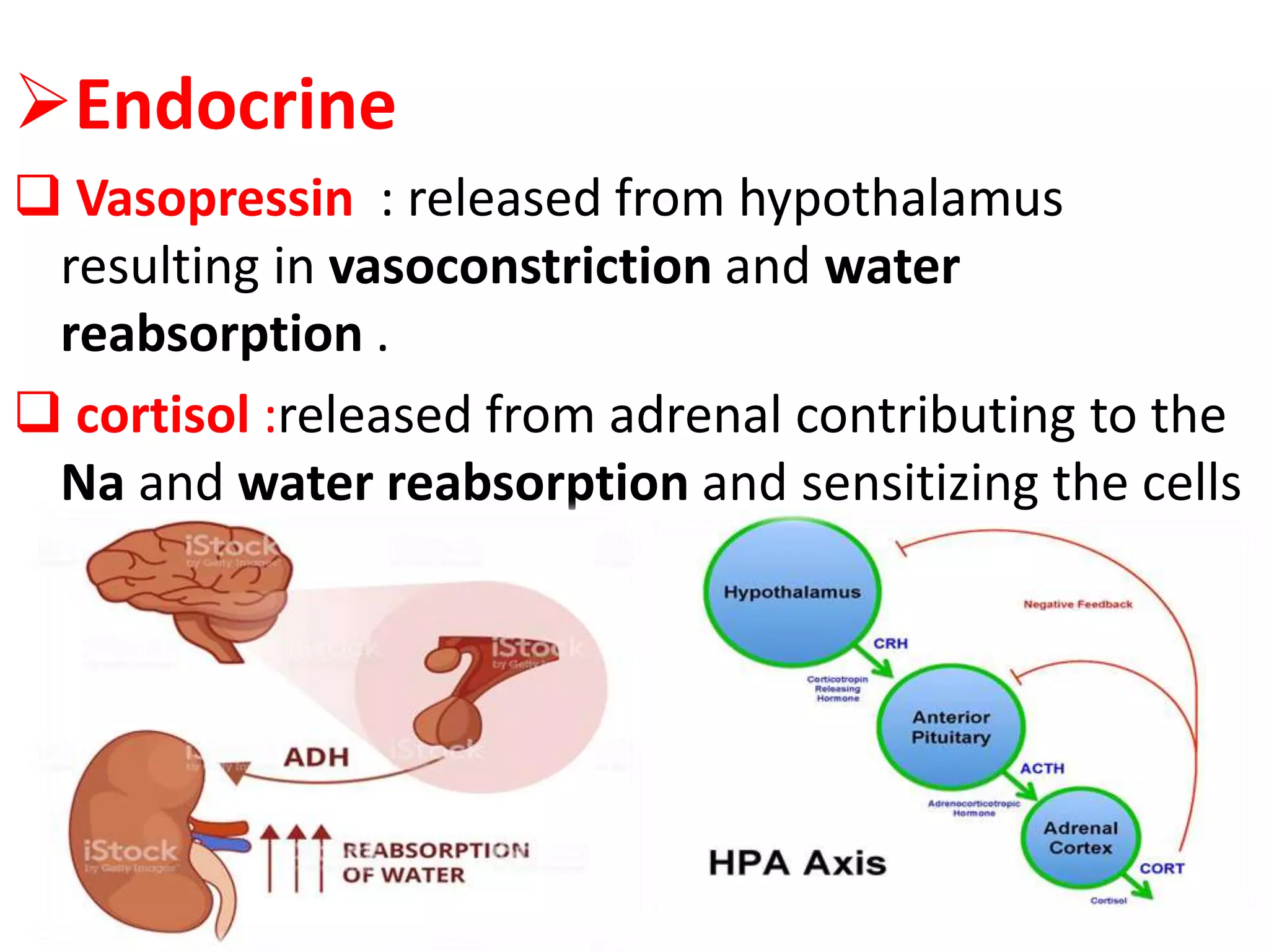 Shock , surgery4121952433713521989 | PPTX