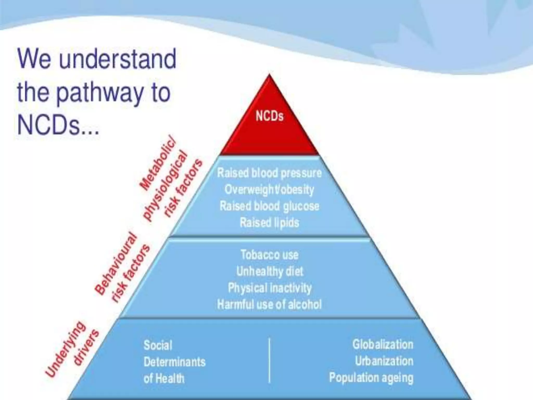 Social Determinants and Economic Burden of Non Communicable Diseases ...