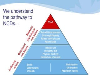 Social Determinants and Economic Burden of Non Communicable Diseases ...