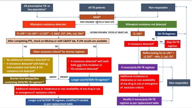 New guidelines for Tuberculosis treatment (NTEP) | PPTX | Infectious ...