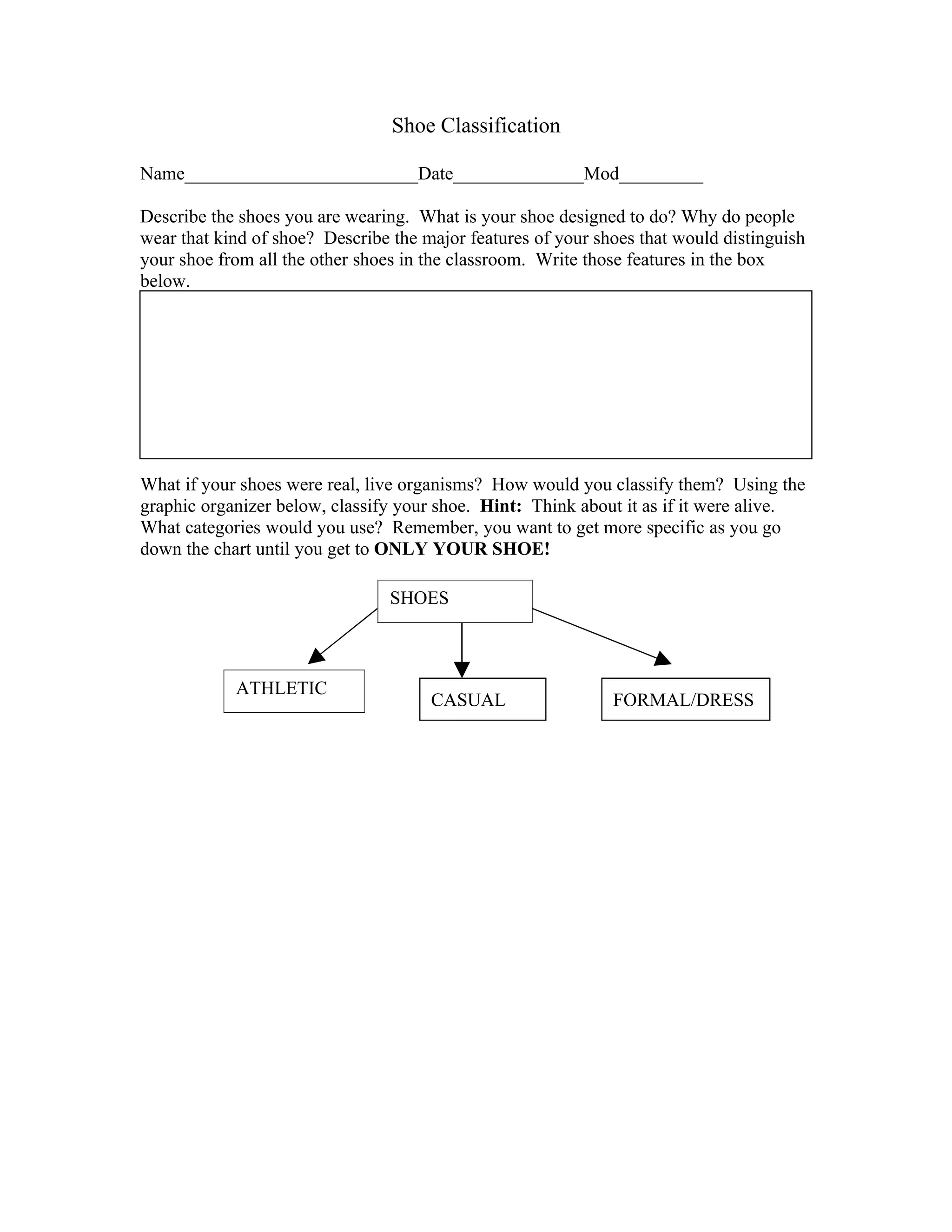 Shoe classification | PDF