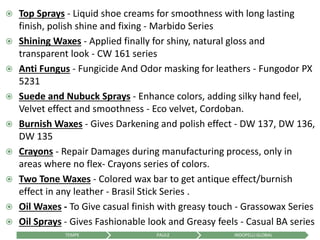 Shoe Finishing Seminar & Practicals.pptx