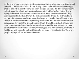 Shoemaker dna replication | PPT