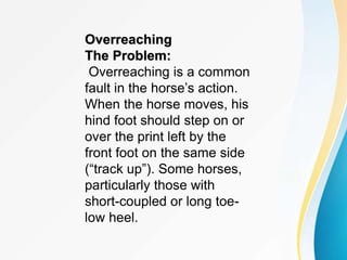 LOSS OF HORSESHOE | PPT
