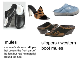 Shoes | PPT