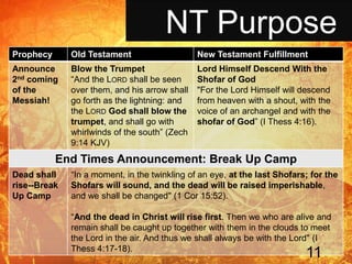 Shofar Presentation: Israel Mission Trip 2013 | PPTX