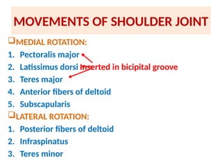 anatomy of shoulder joint and cubital fossa .ppt