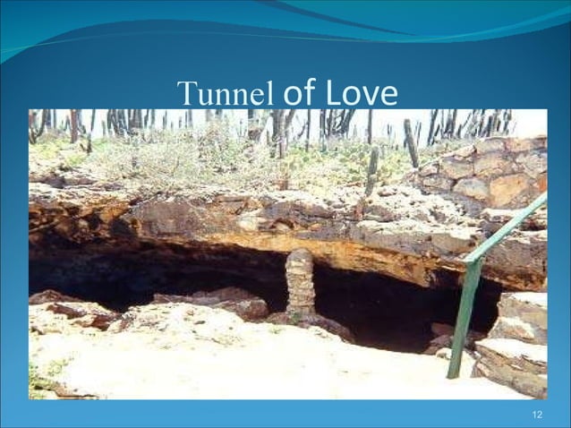 S holliday psp gp4 unit 4 aruba powerpoint revised | PPT