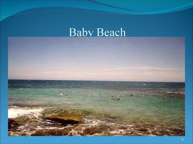 S holliday psp gp4 unit 4 aruba powerpoint revised | PPT