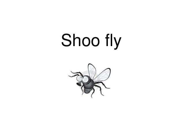Shoo fly