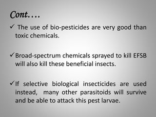 Shoot and fruit borer of brinjal | PPTX