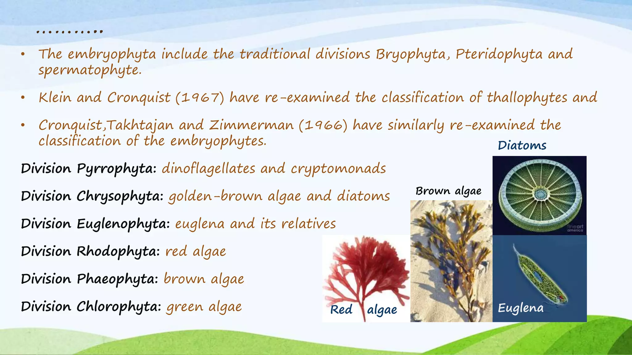 Shoot and root apical meristem | PPTX